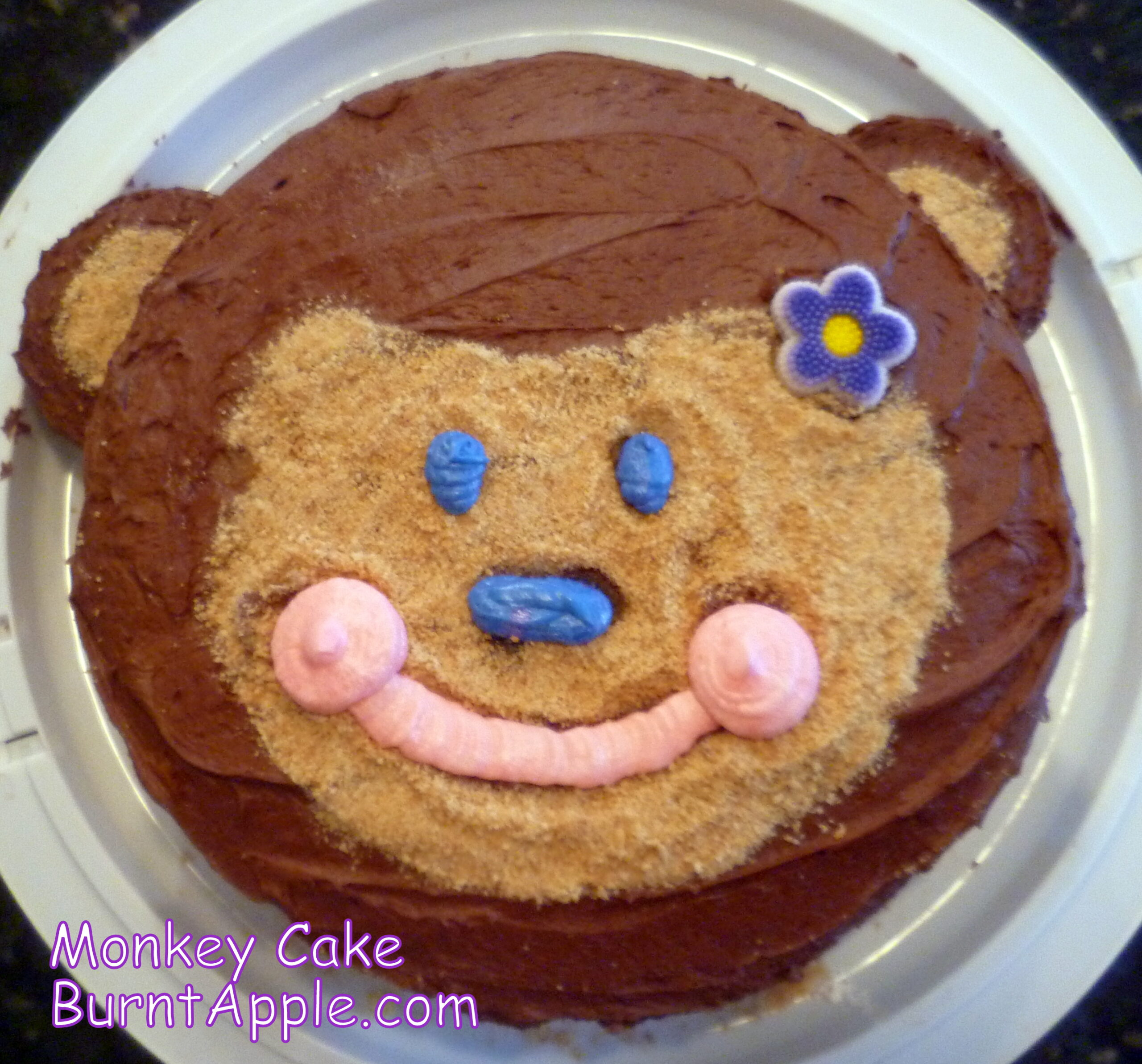 Monkey Cake - Burnt Apple