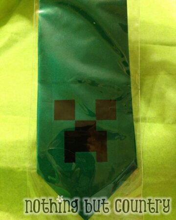 25 Minecraft Birthday Party Ideas - Burnt Apple